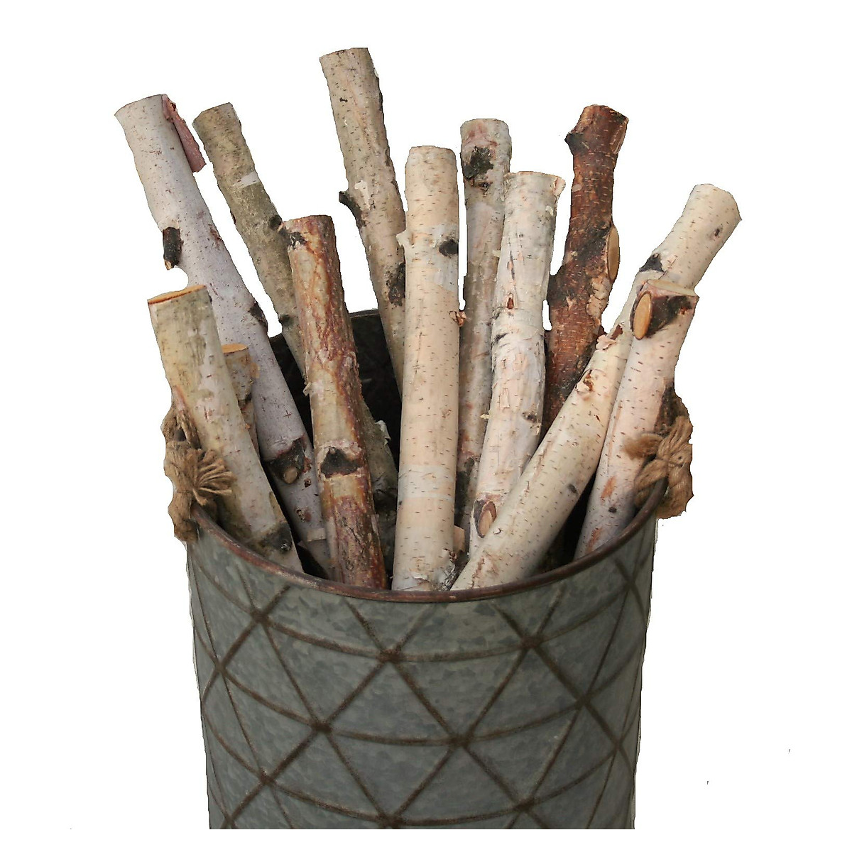 Wilson Decorative White Birch Logs, Natural Bark Wood Home Décor (Set of 12) - 15.5"-17.5" in Length 1"-1.5" Dia.