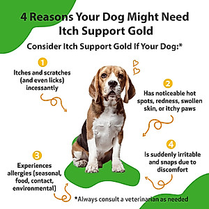 Pet Wellbeing Itch Support Gold for Dogs - Vet-Formulated - Itchy Skin & Paws, Hot Spots, Skin Allergies - Natural Herbal Supplement 2 oz (59 ml)