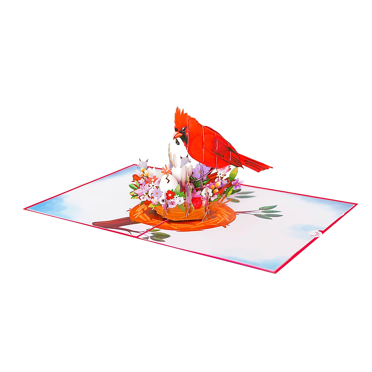 PQ Bees Pop Up Birthday Card for Women Mom Grandma Wife | 3D Mothers Day Valentines Day Christmas Card for Women Aunt Sister Wife, Friend Birthday Cards (Size 8x6 In - Cardinal Nest).