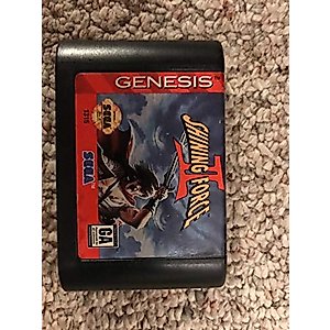 Shining Force II