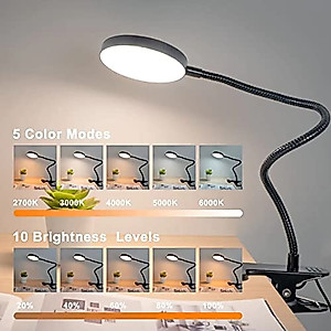 LiFMIRA Desk Lamp Clip on Light 30s/30min Timer 5 Colors 10 Brightness 10W 66 LED Desk Lamp with Clamp Eye-Caring Gooseneck Reading Light for Bed Headboard Desk Video Conferencing Makeup