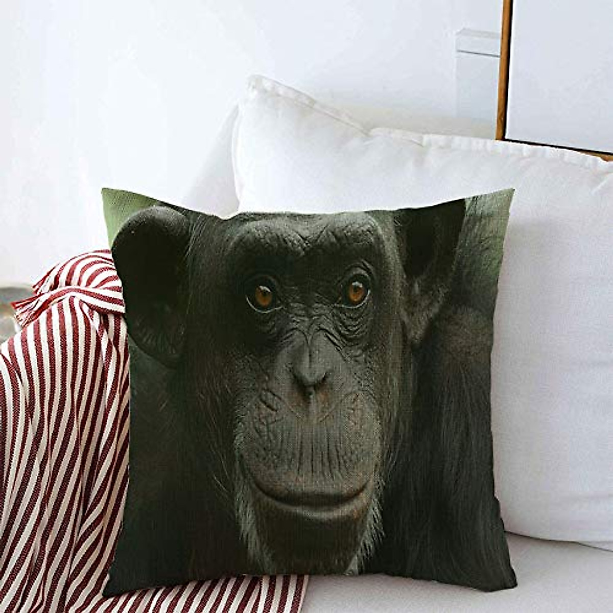 Staromem Throw Pillow Covers Brown Away Hairy Monkey Chimpanzee Animals Wildlife Nature Chimp Rest Black Bonobo Mouth Ape Eyes Linen Cushion Pillowcase Covers for Couch Sofa 16x16 Inch