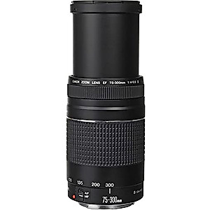 Canon EOS 2000D (Rebel T7) DSLR Camera with EF-S 18-55mm DC III & 75-300mm III Lenses & Deluxe Accessory Bundle – Includes: 2X SanDisk Ultra 64GB SDHC Memory Card, Spare Battery, & More (Renewed)