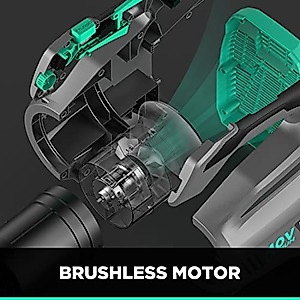 Litheli Cordless Leaf Blower 40V, Battery Leaf Blowers for Lawn Care, with Brushless Motor, Axial Blower for Blowing Leaf, Dust, Snow, Debris, with 2.5Ah Battery & Charger Included, Black