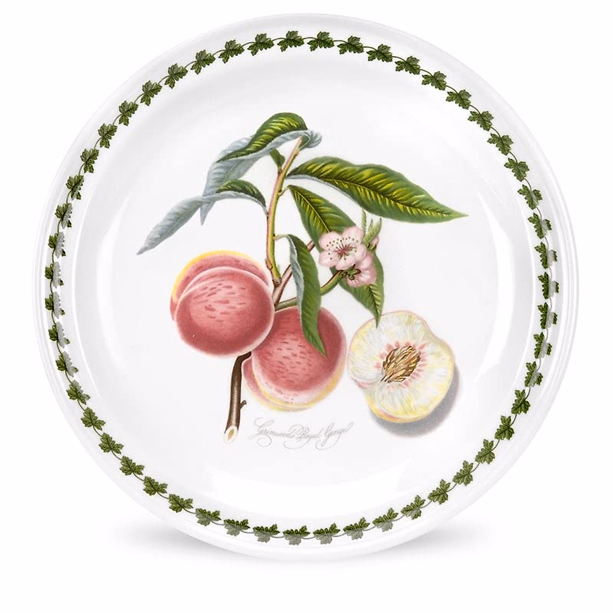 Portmeirion Pomona Collection | Set of 6 | Ceramic Dinnerware Dish Set | Microwave and Dishwasher Safe | Assorted Fruit Motifs | Made in England (Salad Plates)