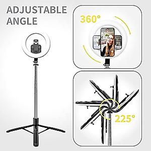 8" Selfie Ring Light with 66" Extendable Tripod Stand & Phone Holder, Portable Unplugged Dimmable LED Ringlight for Live Stream/Makeup/Tiktok/YouTube Video, Compatible with iPhone & Android