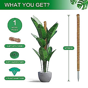 Pechaut 47 Inch Moss Pole for Climbing Plants Monstera, 1 Pack Bendable & Durable Plant Poles for Indoor Plants, Suitable Gift for Plant Lovers