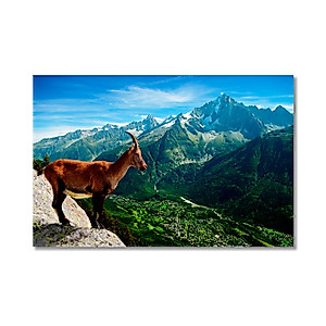 Mountain Goat Looks at Landscape Canvas Print 5 Panels / 36x24 inches