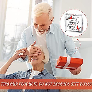 Sympathy Gift Red Cardinal Gifts Bereavement Gift Crystal Glass Memorial Condolence Gift for Loss of Loved One Table Centerpieces Memory Funeral Remembrance(Sympathetic Style,4 x 4 x 0.6 Inch)