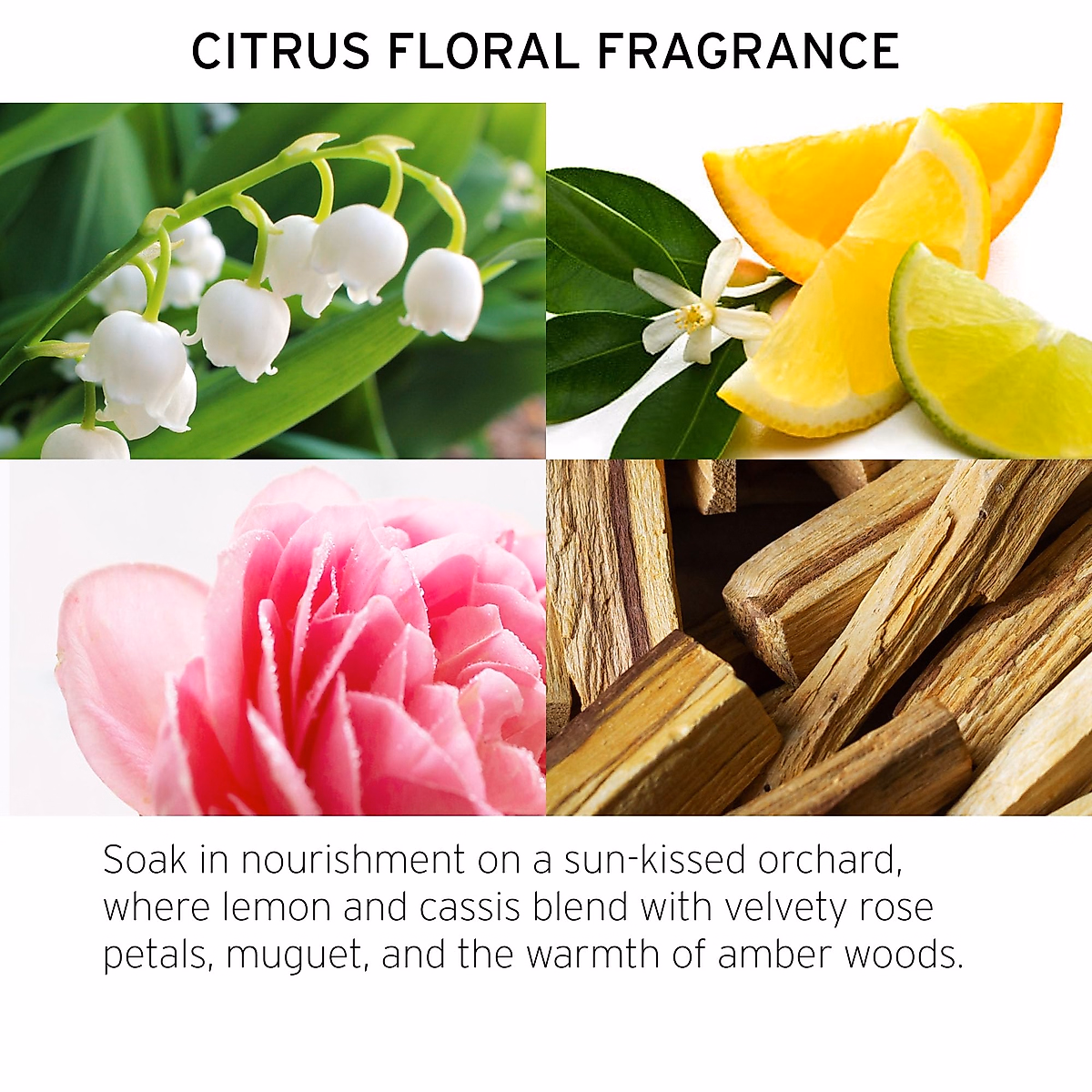 Fekkai Technician Color Flash Mask - 5 oz - Delivers Vibrancy & Hydration - Free of Sulfates, Parabens, Phthalates - Vegan, Cruelty-Free