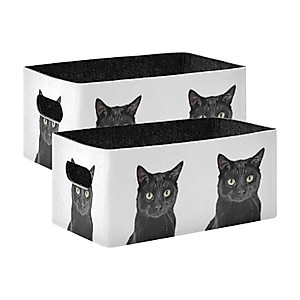 Emelivor Black Cat Storage Basket Bins Set (2pcs) Felt Collapsible Storage Bins with Handles Foldable Shelf Drawers Organizers Bins for Office Bedroom Closet Babies Nursery Toys DVD Laundry