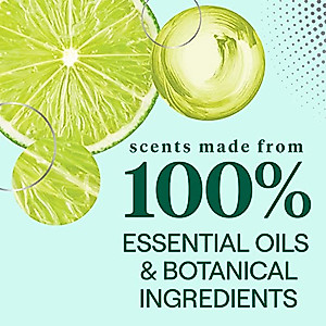 Seventh Generation Liquid Dish Soap, Fresh Lime & Ginger, Tough on Grease, 19 Fl Oz