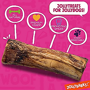 Jolly Barks Marrow Bones for Dogs 6-Inch Premium Natural Single Ingredient Odor Free Large Dog Bones - Grass Fed, Non-GMO Long Lasting Dog Bones, Dog Bones for Medium Dogs (3-Pack)