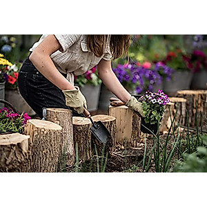 Barebones, Walnut Spade, Ergonomic Stainless Steel Blade