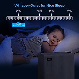 E-300L Air Purifier Official H13 Replacement Filter Compatible with MOOKA and MOOKA FAMILY E-300L Air Purifiers (White 2PC)