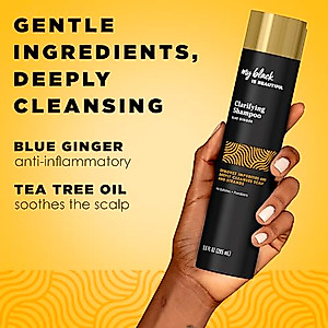 My Black is Beautiful Clarifying Sulfate Free Shampoo for Build Up, For Dry and Damaged Hair, Blue Ginger and Mint, 9.6 fl oz