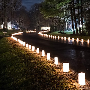 LumaBase Paper Luminaria Bags, White - Set of 24