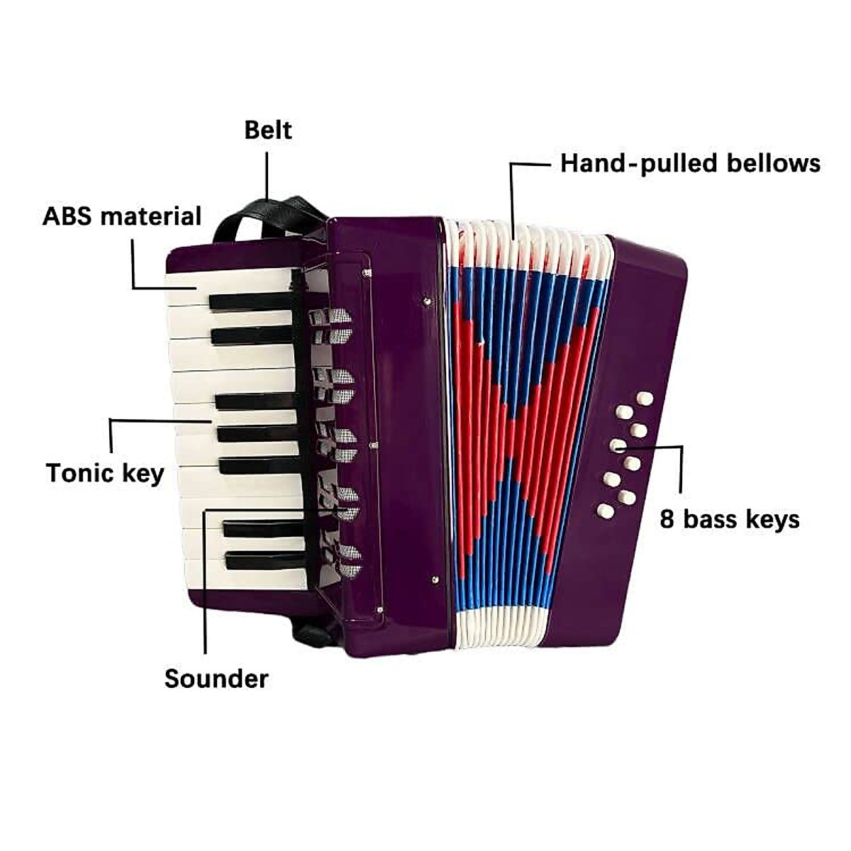BORIYAM Accordion 17 Keys 8 Bass,Toys for Children and Adult Beginners, Accordion Instrument,Early Learning Enlightenment Instrument (Purple)