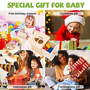 Adena Montessori Coin Box,3 in 1 Object Permanence Box Toys for 1 Year Old Baby Coins,Wooden Montessori Ball Drop Toys Developmental Toys for 6-12 Month Infant Toys,Triangle Ball Round Shapes