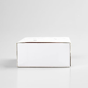 keephifi KZ ZSN Pro X Wired Ear Buds with Microphone,1BA+1DD Hybrid IEM Earphones Earbuds Punchy Bass,Comfortable Wearing, Detachable Cable for Audiophiles Musicians Singers Drummers(Gold,with Mic)