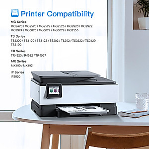 LxTek Ink Cartridge Replacement for Canon 245 245XL PG-245 PG-245XL 245XL 245 XL PG-243 to use with Pixma MG2522 MX492 TR4520 TR4500 TS3120 MG2420 MX490 MG2920 MG2922 MG2520 IP2820 (2 Pack, Black)