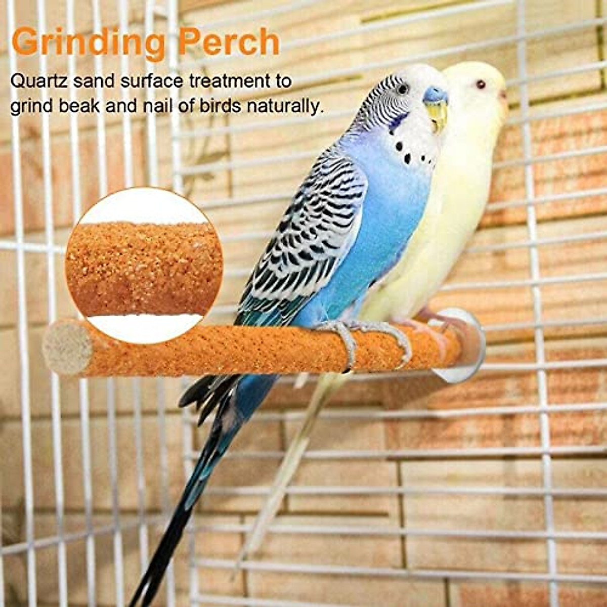 HBaby Parrot Perch Stand Toy Wooden Bird Perch Stand Birds Paw Grinding Rough-surfaced Stick Cage Accessories for Cockatiels,Cockatoo,Lorikeet,Random Color