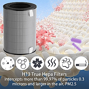 Filter Replacement for Macro Max S: H13 True HEPA Filter Compatible with Dreo Macro Max S Air Purifier, 3-in-1 Filter, High-Efficiency Activated Carbon
