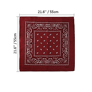 Bycc Bynn 3 Pack Pure Cotton Paisley Pattern Bandanas Square Scarf Headwear (Black + Burgundy + White)