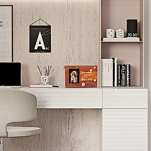 Pet Urns for Dogs or Cats Ashes, Loss Pet Memorial Remembrance Gift, Personalized Photo Frame Urns Wooden Memorial Keepsake Cat or Dog Memory Box with Black Flannel as Lining (157 Cubic Inches)