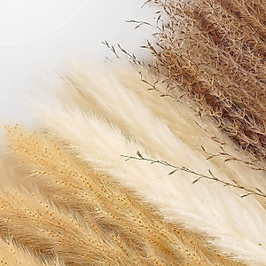 EVOLUX Pampas Grass Decor,60 Pcs Natural Dried Pampas Grass|15 Pcs White & 15 Pcs Beige & 30 Pcs Reed Grass,17" Pompas Grass for Flowers Arrangement Home Garden Wedding Decor