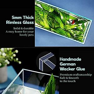 LAQUAL 3 Gallon Ultra Clear Glass Fish Tank, Rimless Low Iron Aquarium for Betta/Nano/Goldfish/Snail/Shrimp, Small Fish Tank with Fish Net & Cleaning Tools