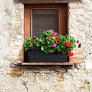 GREANER Black Rectangle Window Boxes, 3 Pack 12x3.8 Inch Herb Planters with Tray, Indoor Succulent Cactus Mint Plastic Pot for Windowsill, Garden Balcony, Office Outdoor Decoration