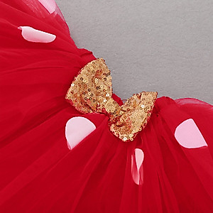 First Birthday Girl Outfit It’s My 1st Birthday Outfits Cake Smash Photo Props Newborn Christmas Outfit Pink Tutu Skirts Set Romper Headband Summer Clothes Short Sleeve Tutu for Toddler Red 6 Months