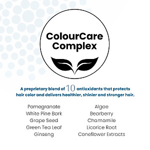 Aloxxi Colourcare Hydrating Shampoo, 10.1 Fluid Ounce