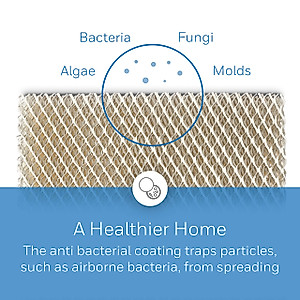 Honeywell Home HC12A1015/C HC12A1015 Humidifier Pad, 11.5 x 8 x 2 inches, White