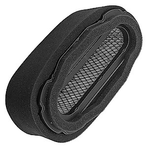 Caltric Air Filter Compatible with John Deere GT245 GX255 GX335 M150403 Black Foam Element