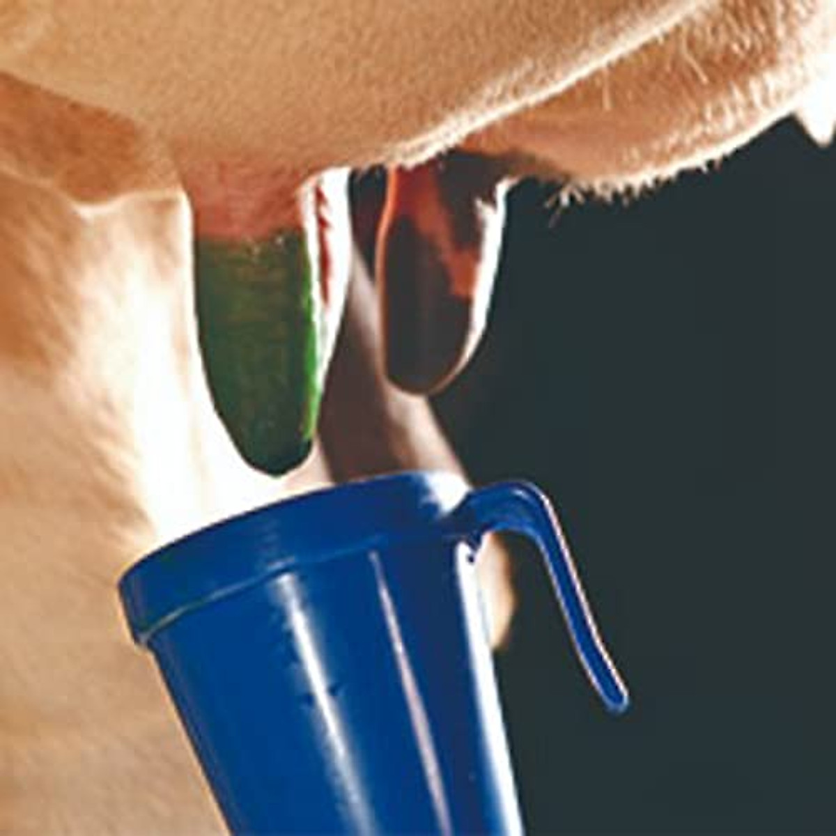 QMARK 2 Pack Teat Dip Cup, Non Reflow Nipple Cleaning Disinfection, Dip Cup for Cow Sheep Goat, Non-Return Teat Dipper - 300 ml Blue