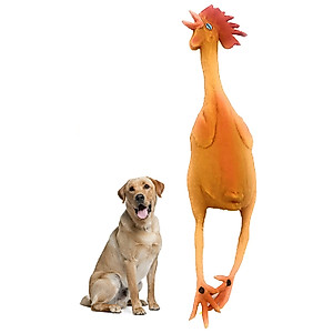 Rubber Chicken Dog Toys - Natural Rubber (Latex) - Lead-Free Chemical-Free - Handpainted - Soft Unstuffed Squeaky (Medium)