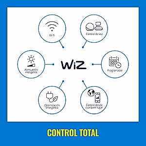 WiZ 40W B12 Color LED Smart Candle-Shaped Bulb - Pack of 1 - E26- Indoor - Connects to Your Existing Wi-Fi - Control with Voice or App + Activate with Motion - Matter Compatible