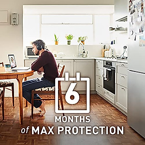 Raid Max Ant and Roach Spray, 14.5 OZ (Pack of 6)