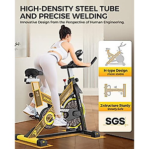 pooboo Indoor Cycling Bike, Belt Drive Indoor Exercise Bike Stationary LCD Monitor with Ipad Mount ＆Comfortable Seat Cushion for Home Cardio Workout Cycle Bike Training