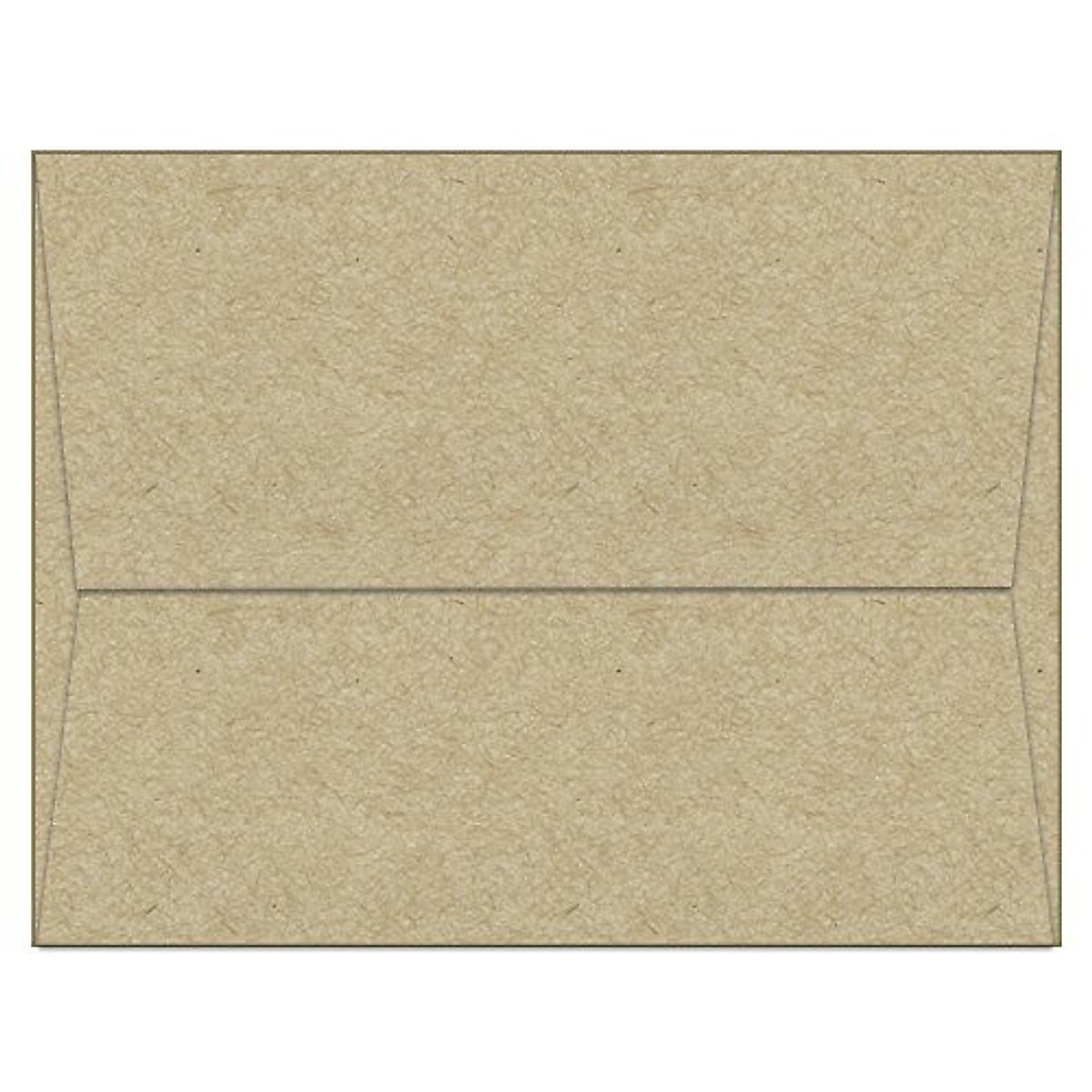 Note Card Cafe All Occasion Greeting Card Set with Gray Envelopes | 24 Pack | Blank Inside, Glossy Finish | Unique Hello Autumn Design | Bulk Set for Greeting Cards, Occasions, Birthdays