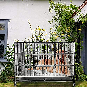 Confote 48" Heavy Duty Stainless Steel Dog Cage Kennel Crate and Playpen for Training Large Dog Indoor Outdoor with Double Doors & Locks Design Included Lockable Wheels Removable Tray No Screw