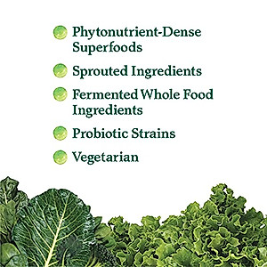 Garden of Life Whole Food Vegetable Supplement - Perfect Food Green Superfood Dietary Supplement, 300 Count