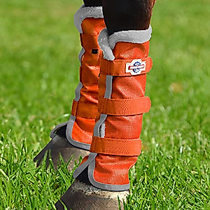 Harrison Howard Horse Fly Boots Summer Protection with Fleece Trim to Eliminate Rubbing Comfortable and Ventilating Mesh Leg Guards Sold in Pair Vibrant Orange L