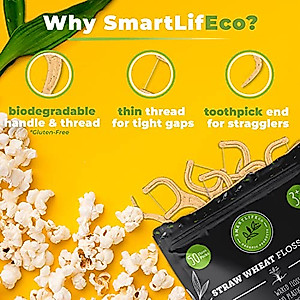 Biodegradable Dental Floss Picks - Natural Plastic Free Handle | Thin Thread Tooth Flossers for Adults & Kids | Toothpick Stick Soft on Gum & Teeth | Eco Friendly Zero Waste Vegan Organic (200, Mint)