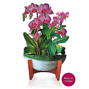 Freshcut Paper Pop Up Cards, Orchid Oasis, 12 Inch Life Sized Forever Flower Bouquet 3D Popup Greeting Cards, Birthday Gift Cards, Gifts for Her with Note Card & Envelope