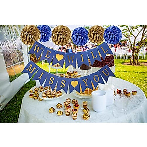 Vindeex We Will Miss You Supplies Kit, We Will Miss You Banner, 10Pcs Balloons, 12Pcs Swirl, 6Pcs Pom for Retirement Farewell Going Away Office Work Party Decorations Blue Gold