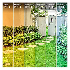 Great Value LED General Purpose Medium Base, A19 60W, Clear Glass, 12 pk.