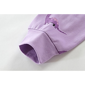 Little Hand Kids & Toddler Girls Dinosaur Pajamas 2 Piece Pjs Set 100% Cotton Long Sleeve Purple Sleepwear 4T